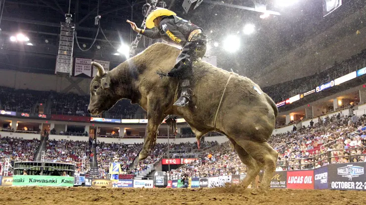 PBR | In the bull pen: Springfield