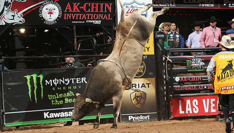 PBR | SweetPro’s Bruiser’s Top 5 bull scores