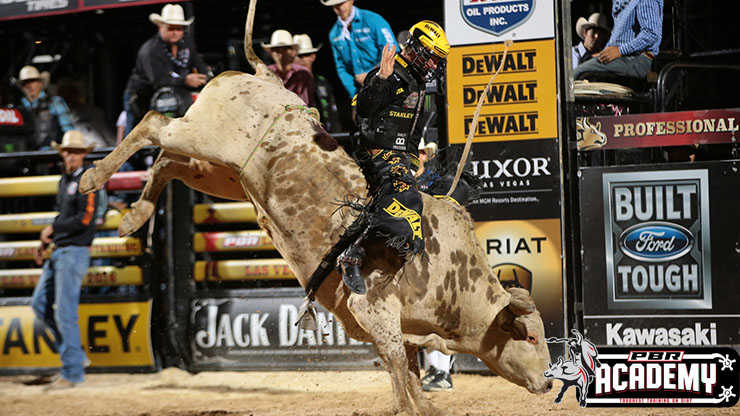 PBR | The PBR launches PBR Academy