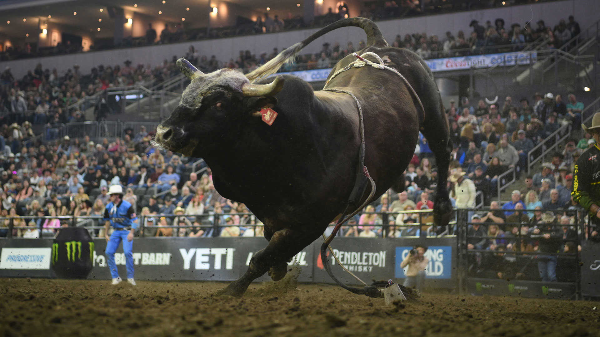 PBR | Magic Potion ties Cool Whip’s all-time buckoff streak at 48