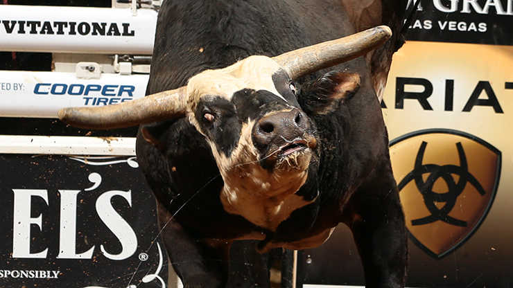 PBR | In the bull pen: Phoenix