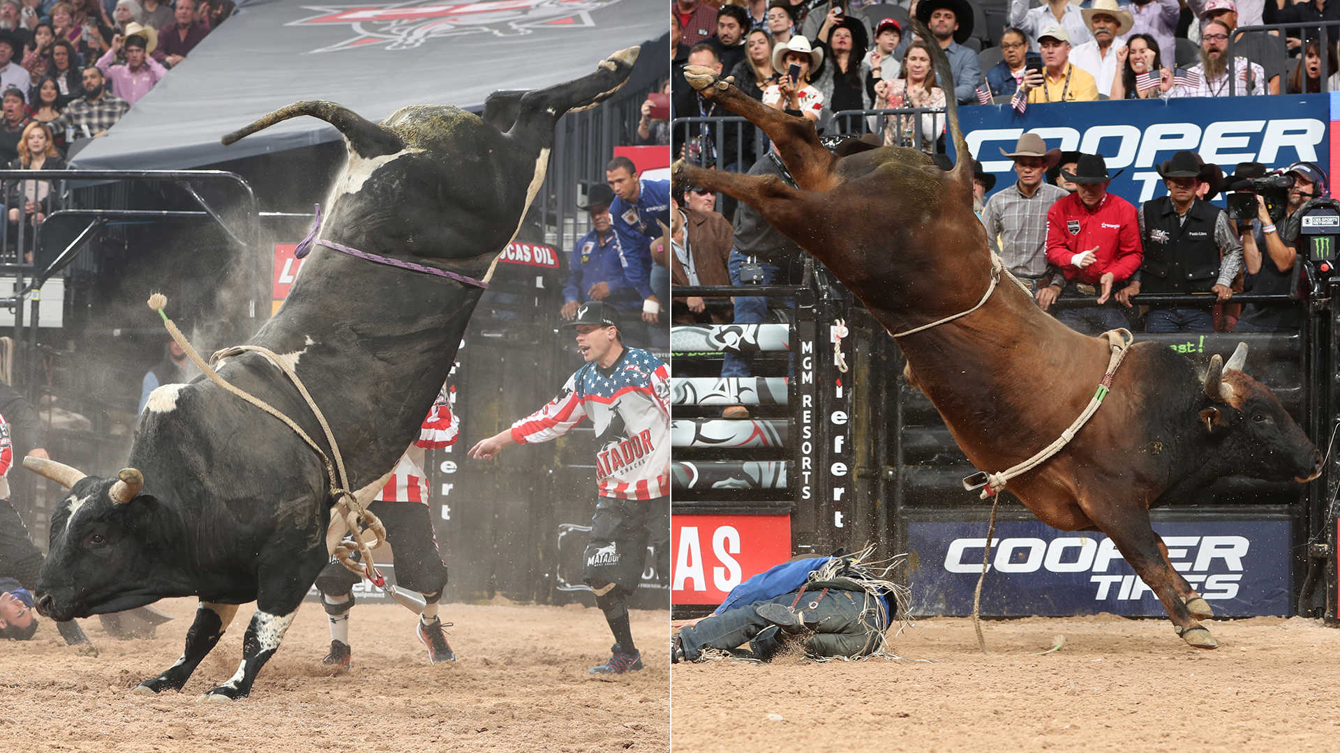 PBR | Spotted Demon and Legit making season debuts in Glendale