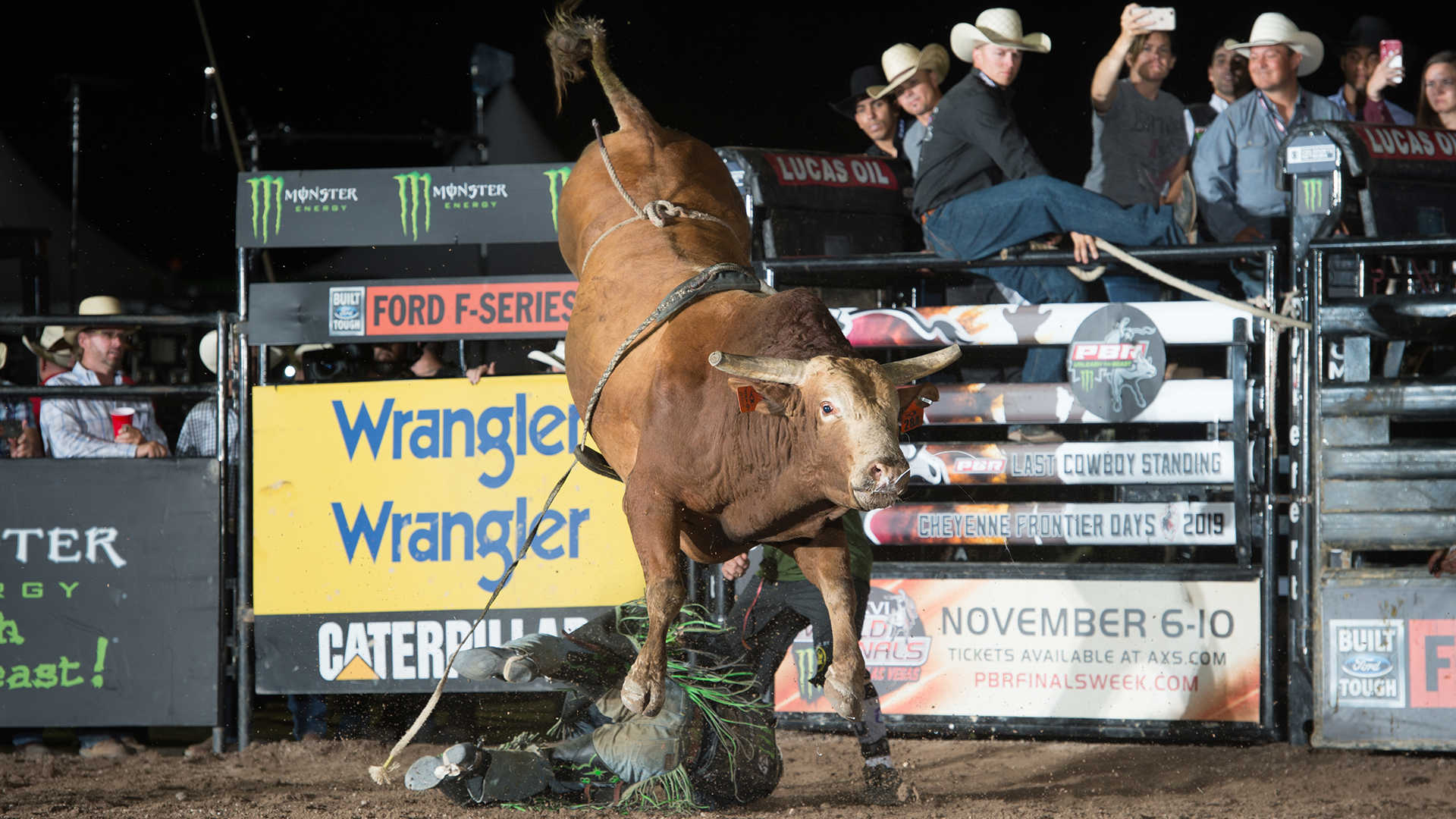 PBR | A closer look at the 2019 World Champion Bull race