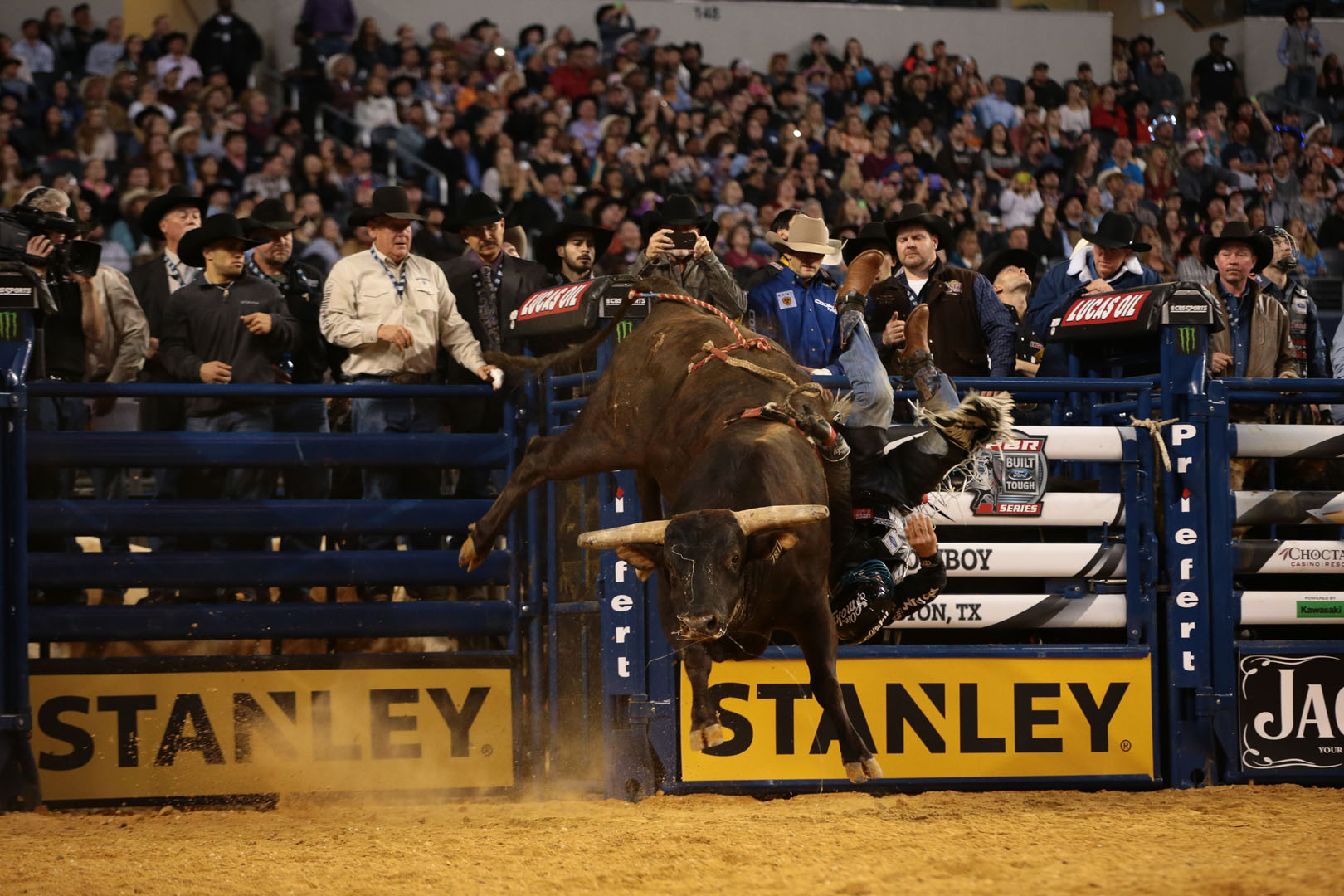 PBR | 2015 Bull Power